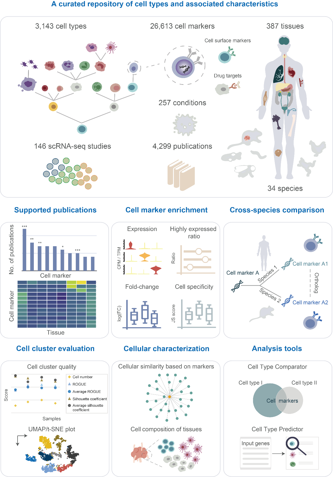 Cell Taxonomy A Curated Repository Of Cell Types With Multifaceted Cell Taxonomy A Curated Repository Of Cell Types With Multifaceted
